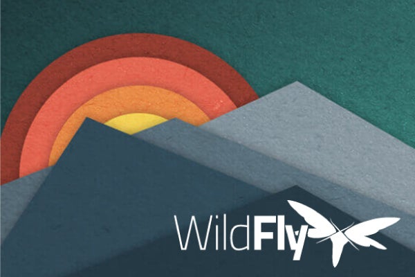 What Is Wildfly | JRebel by Perforce